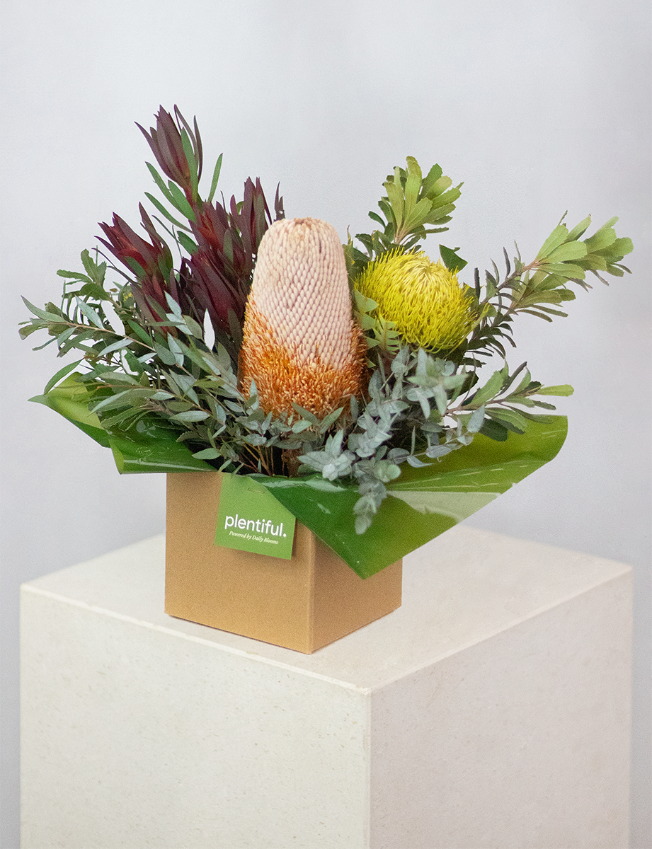 Plentiful Native Boxed Arrangement – Plentiful Flowers