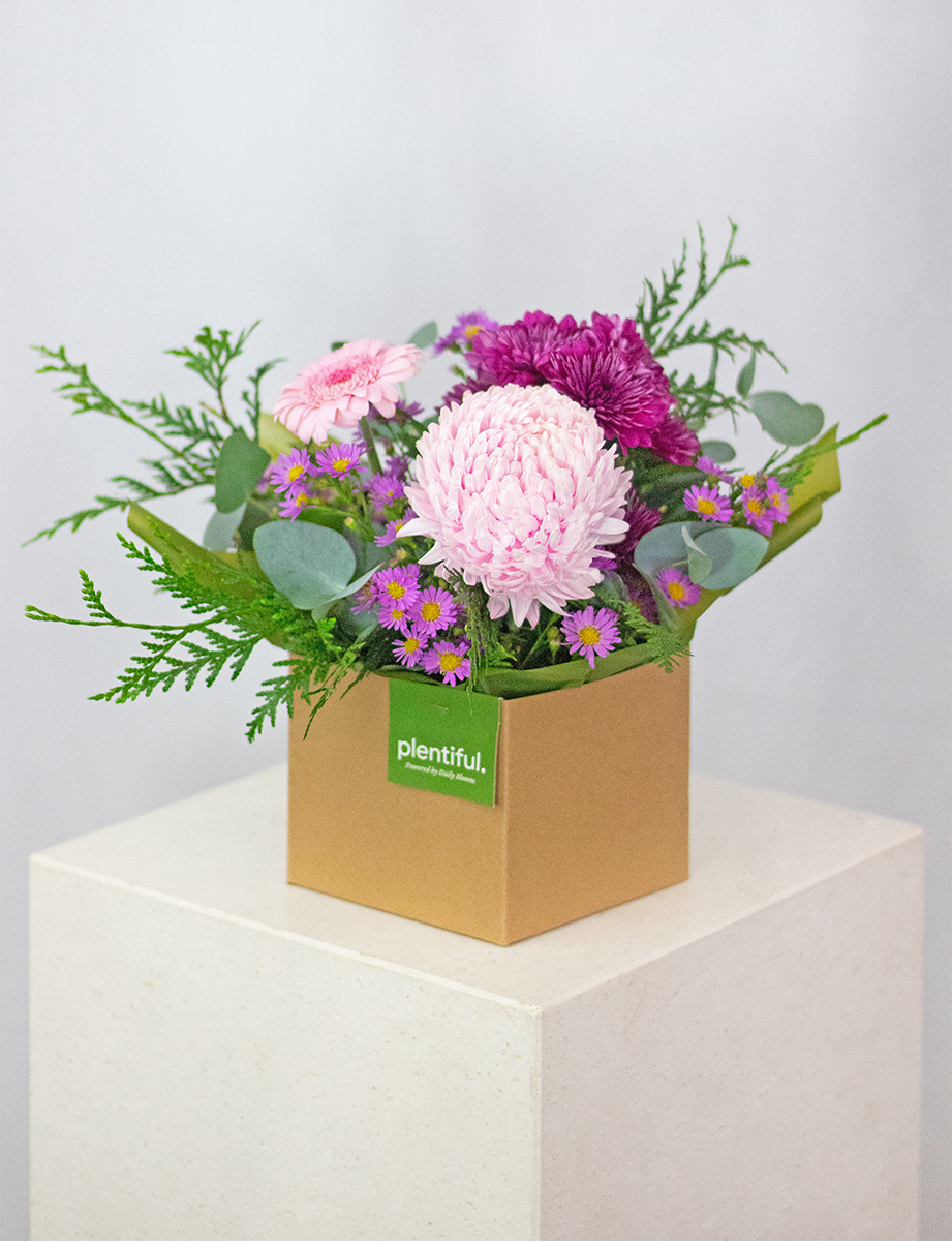 Plentiful Small Boxed Arrangement - Colour – Plentiful Flowers
